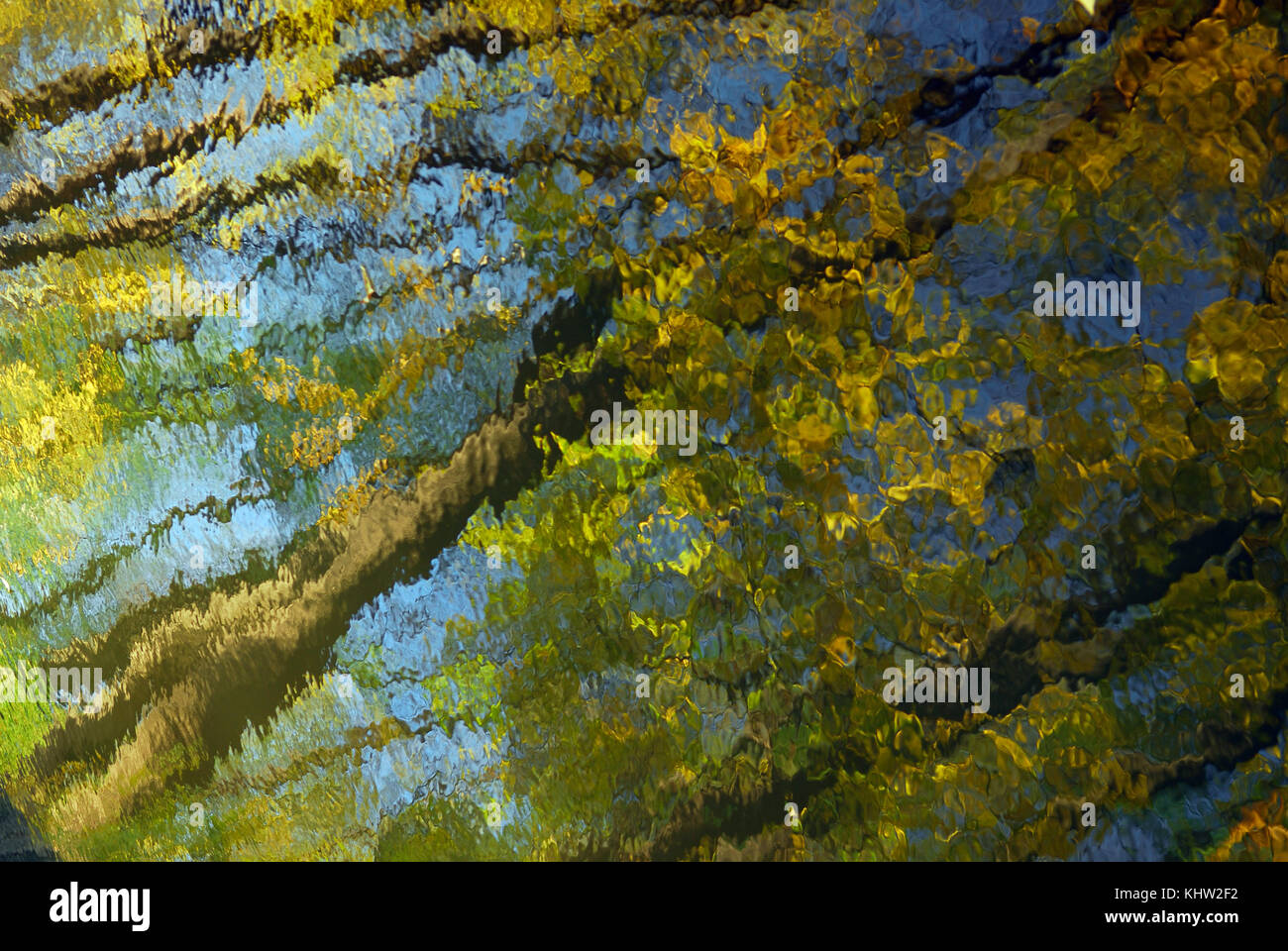 Abstract natural background: diagonal dark tree trunks, yellow foliage ...
