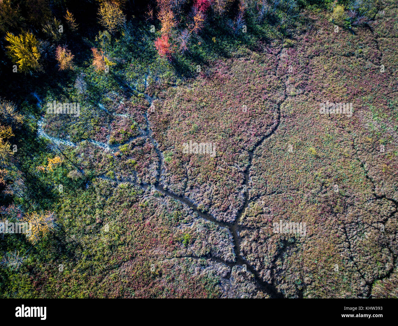 Aerial view over marsh during vibrant autumn colors Stock Photo - Alamy