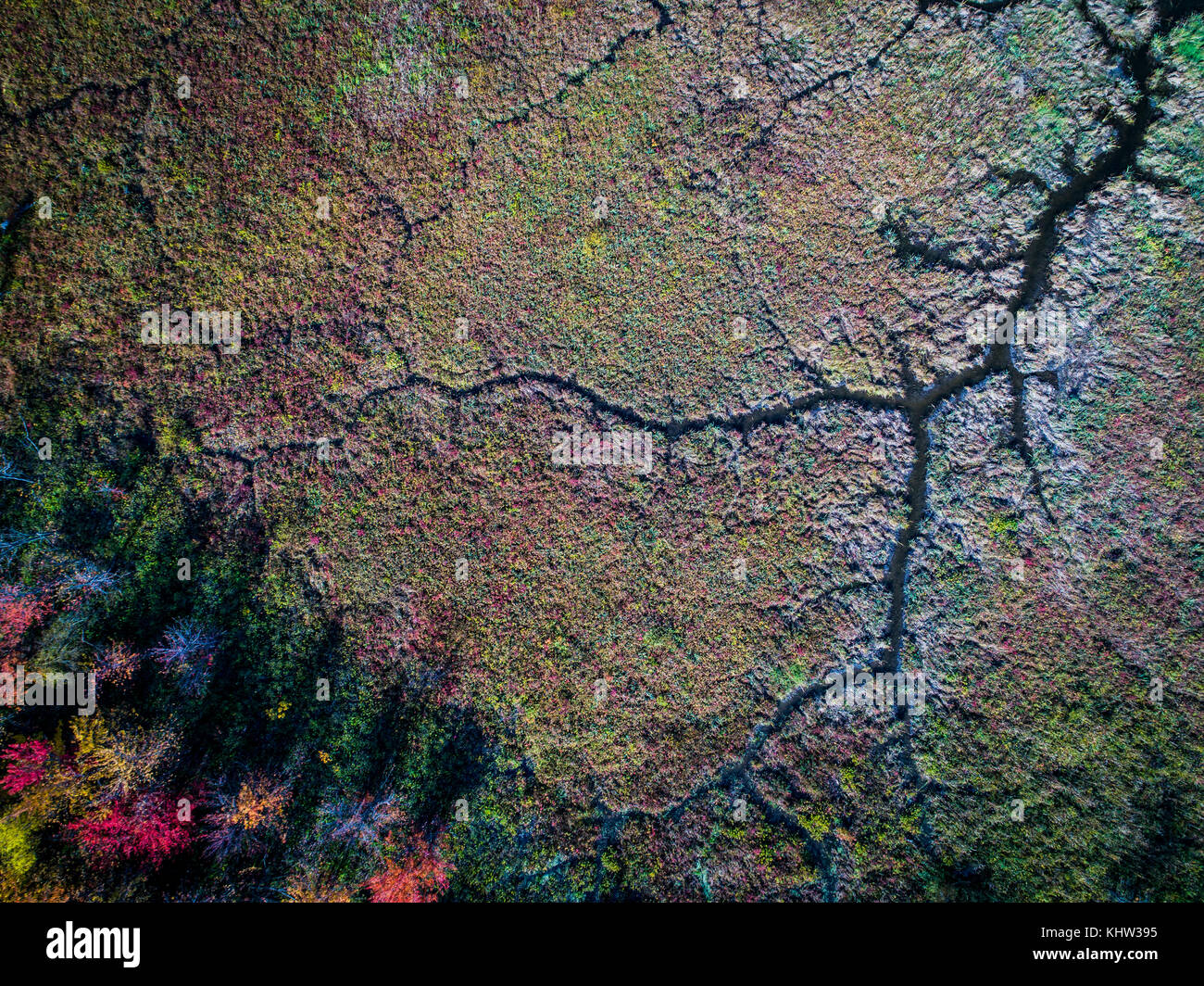 Aerial view of marsh hi-res stock photography and images - Alamy