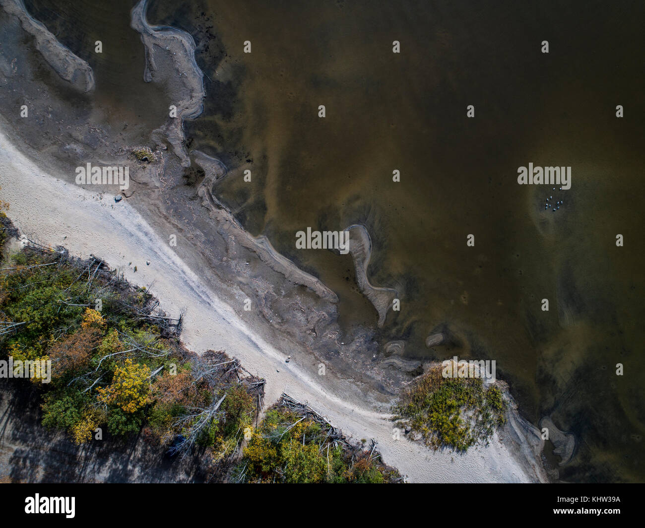 aerial view of shoreline Stock Photo - Alamy