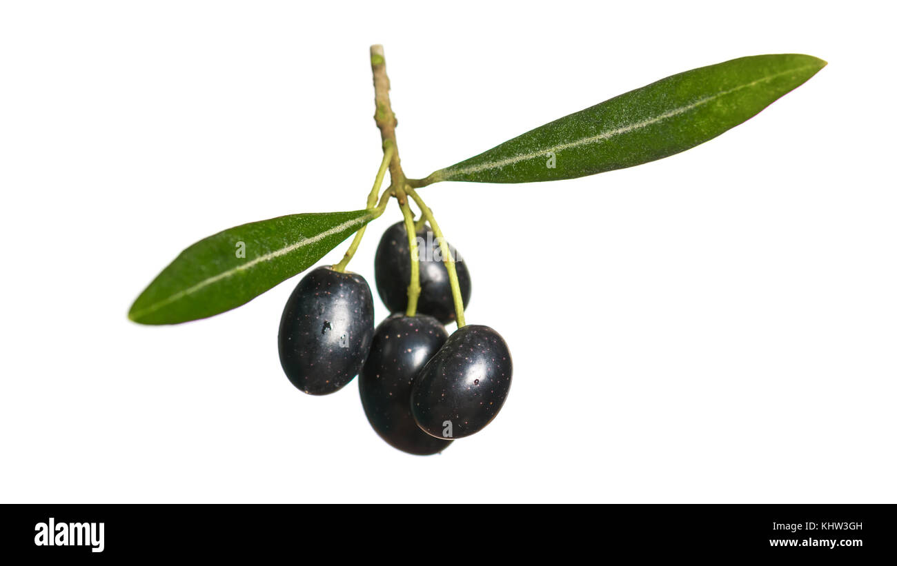 Olives on a white background Stock Photo - Alamy