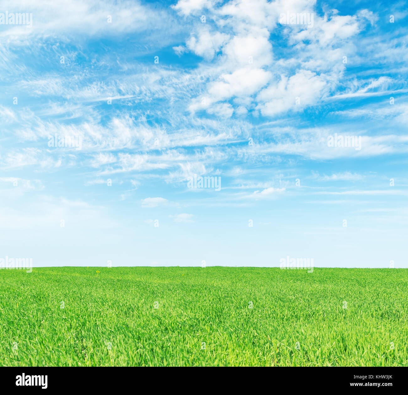green grass field and white clouds in blue sky Stock Photo - Alamy