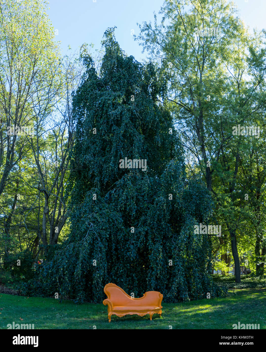 Orange Fainting couch in front of the old tree Stock Photo - Alamy