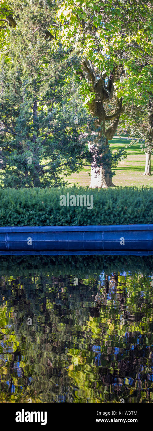Abstract reflection of tree in water Stock Photo - Alamy