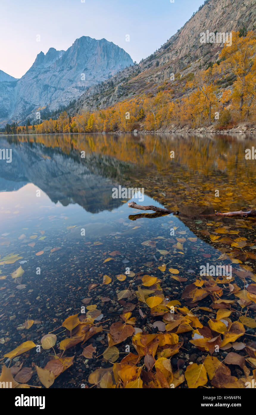Carson Peak and the autumnal colors of aspen trees, and their ...