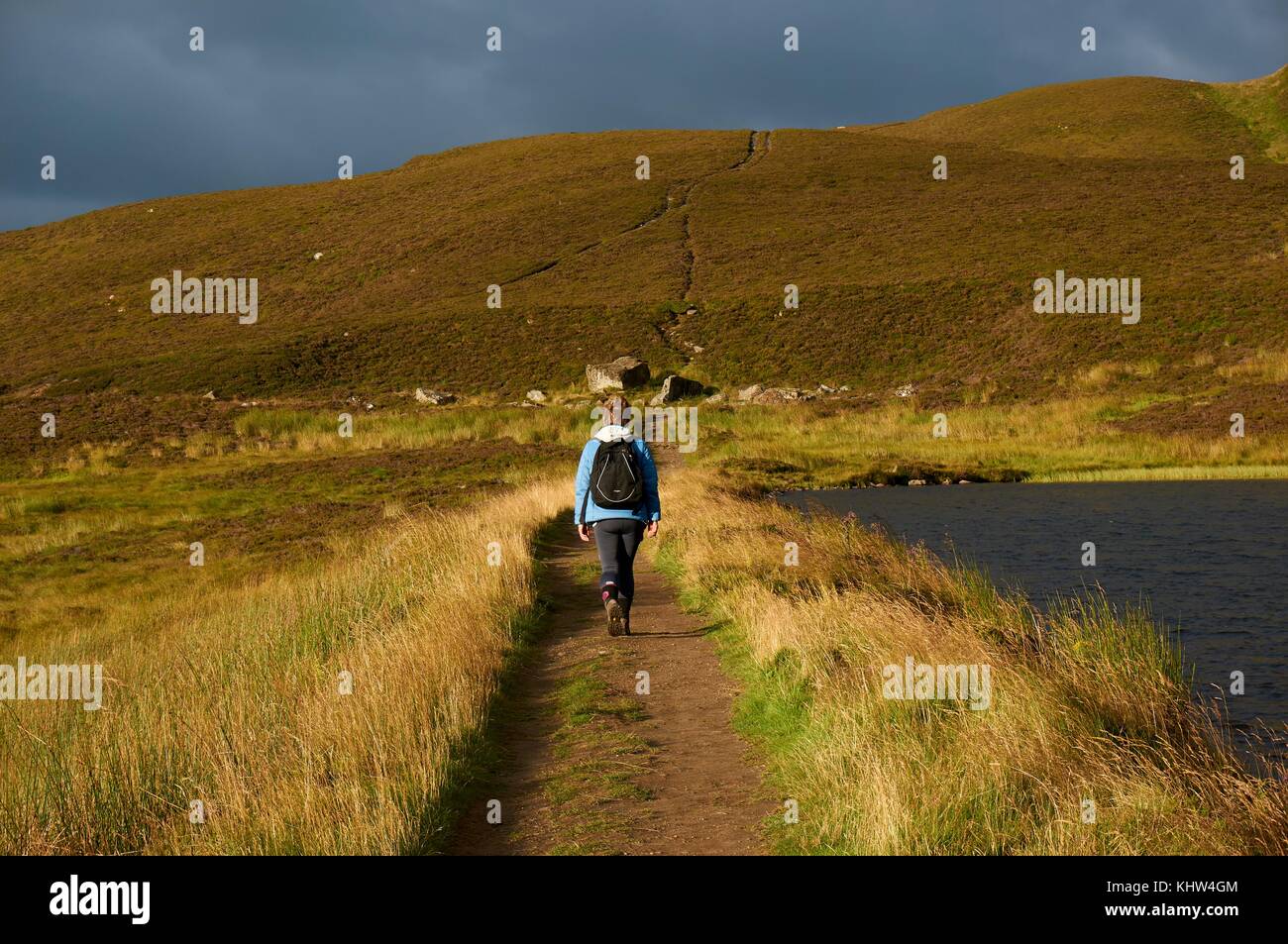 Hill walker walking along the trail in Scottish highlands Stock Photo ...