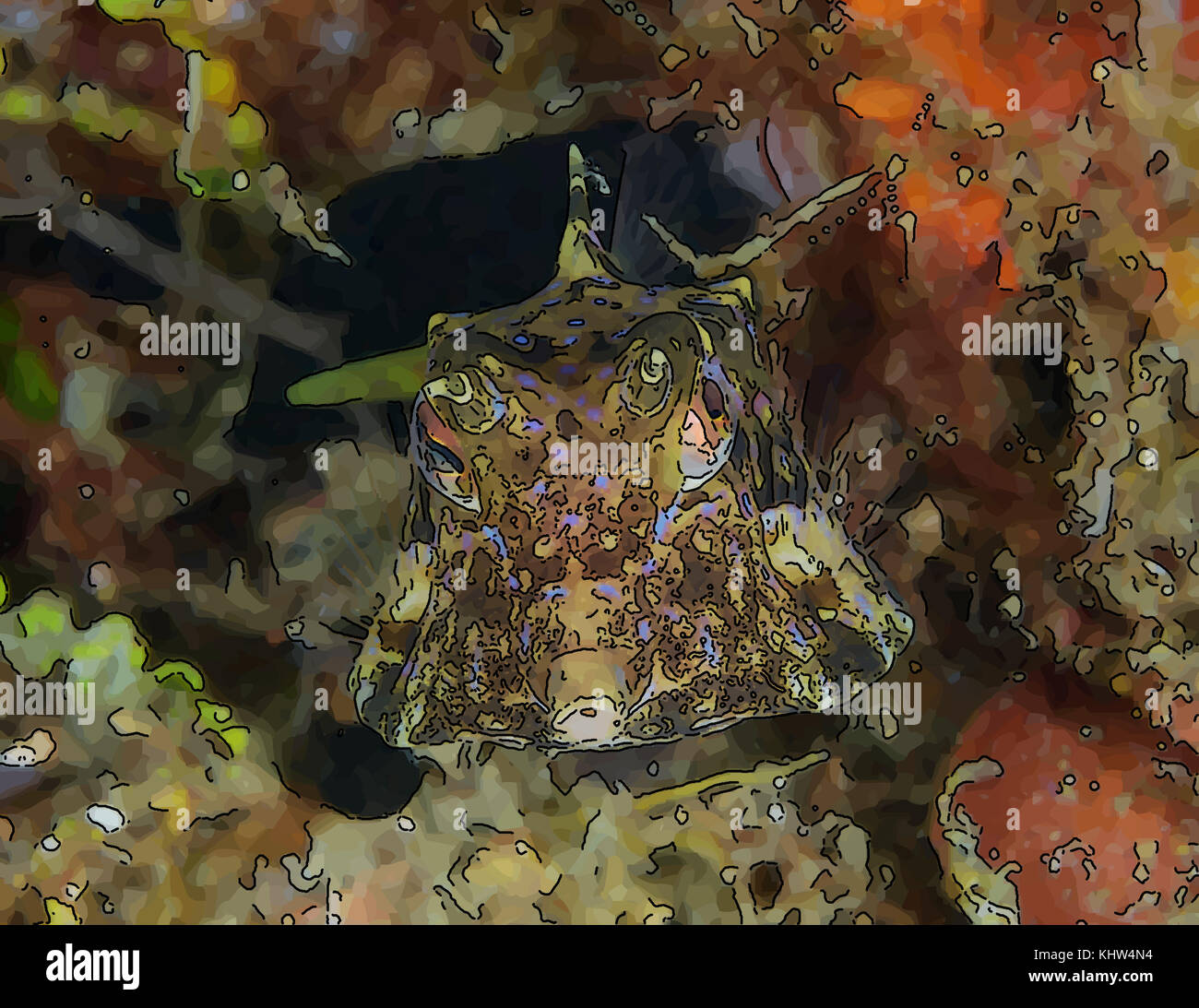 Indo pacific species hi-res stock photography and images - Alamy