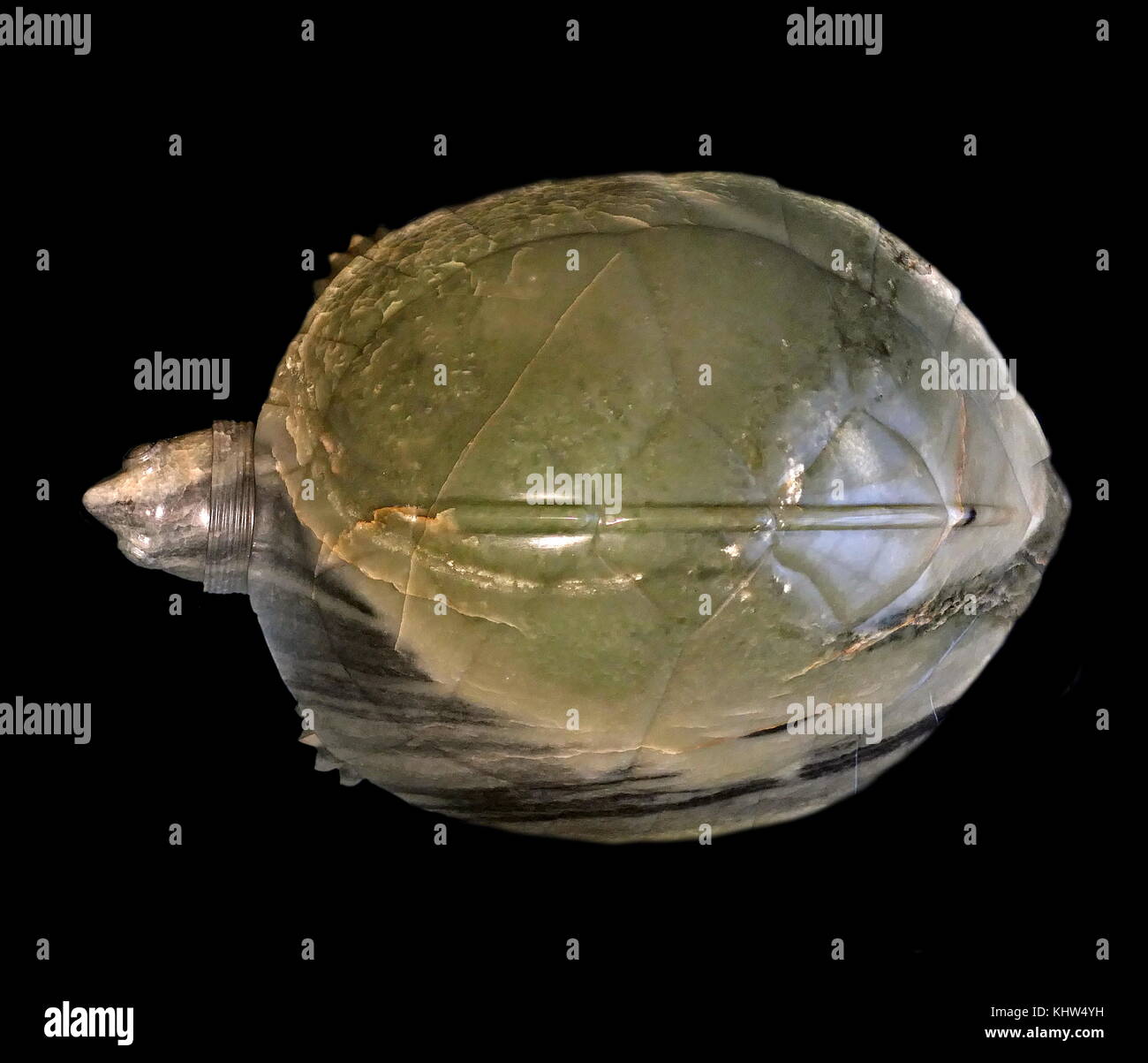 Mughal jade terrapin from allahabad hi-res stock photography and images ...