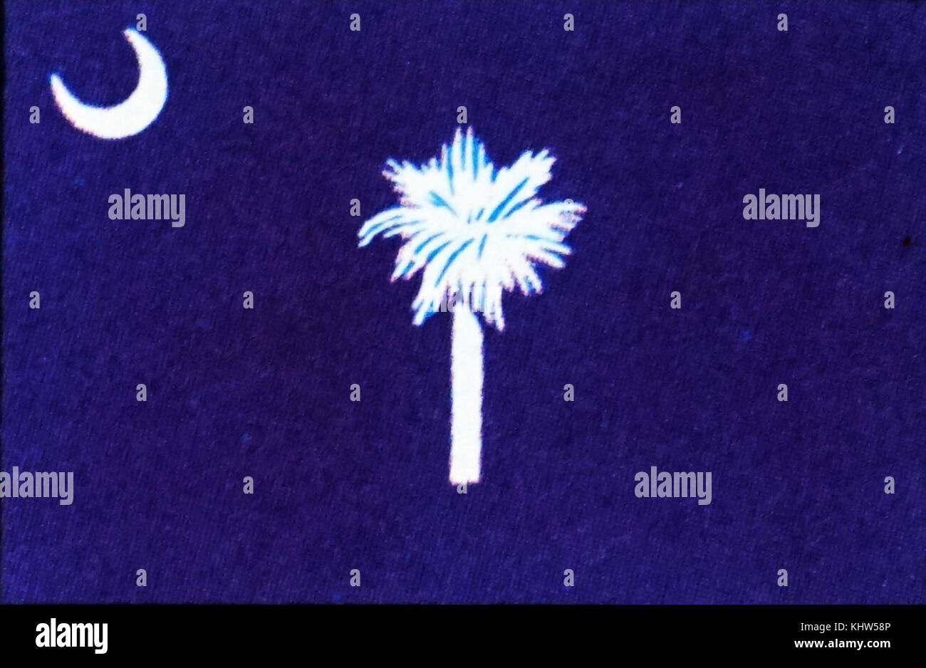 Illustration depicting the state flag for South Carolina. Dated 20th ...