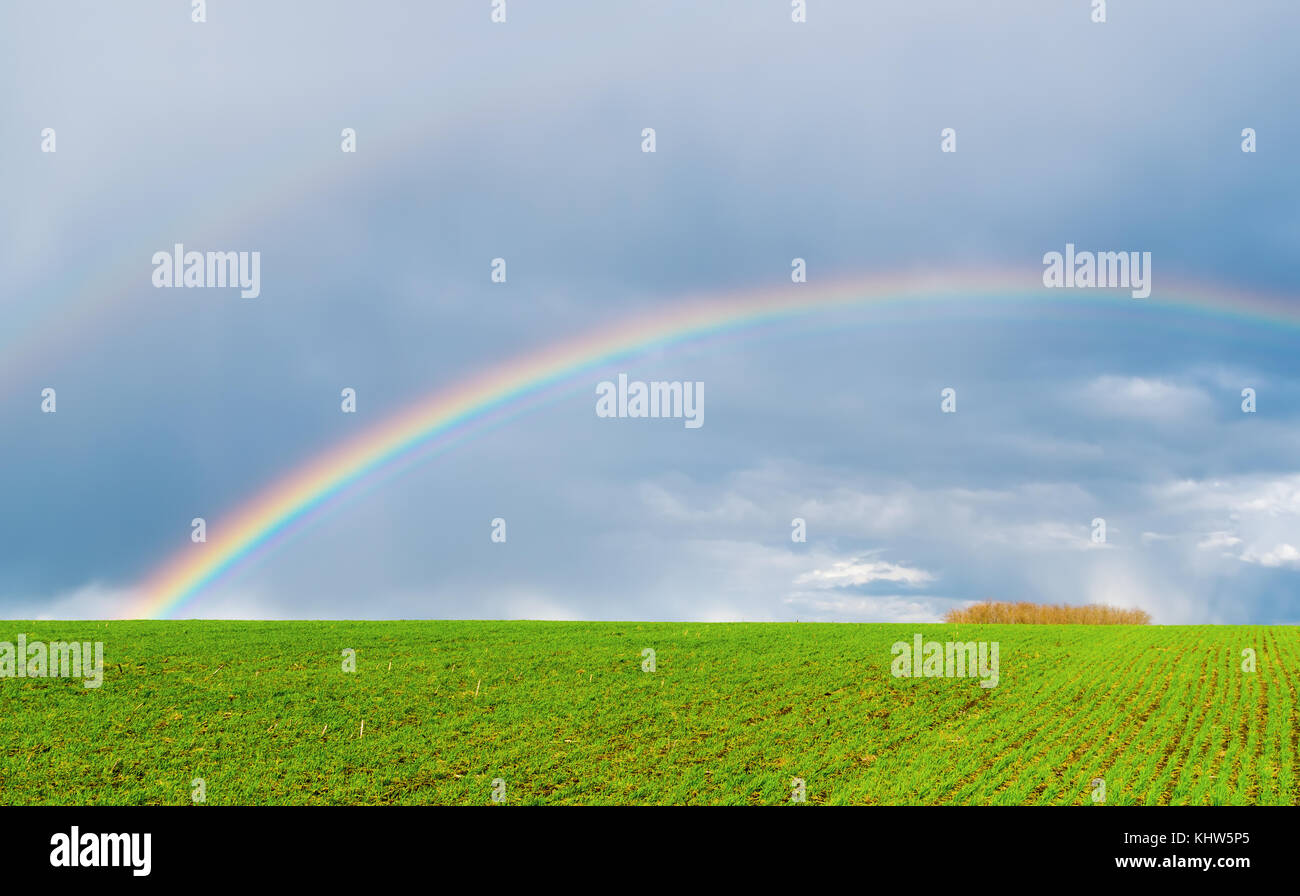 real rainbow in dark sky over green field Stock Photo - Alamy