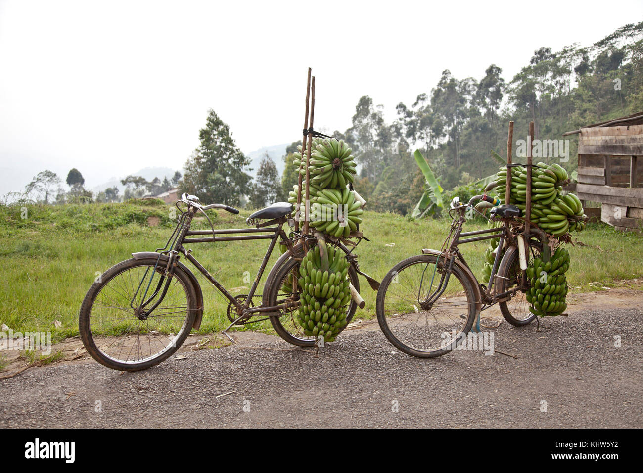 Agriculture trade transport africa hi-res stock photography and images ...