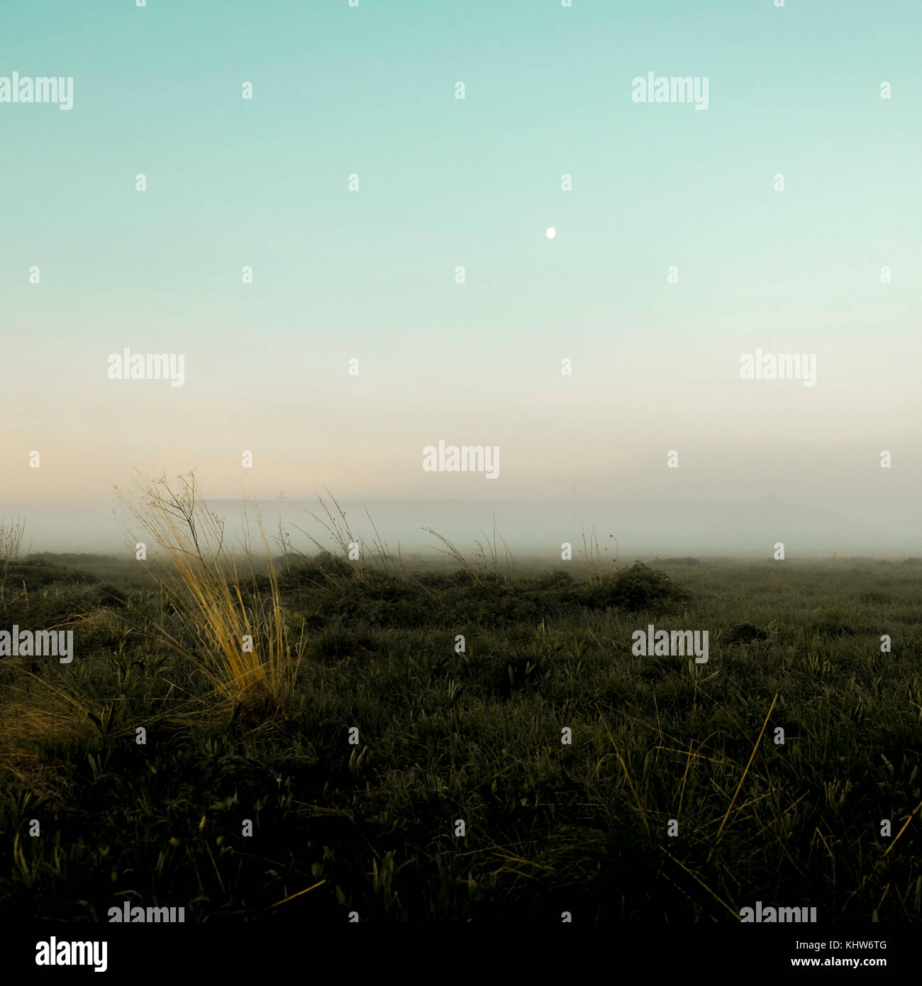 Ground mist hi-res stock photography and images - Alamy