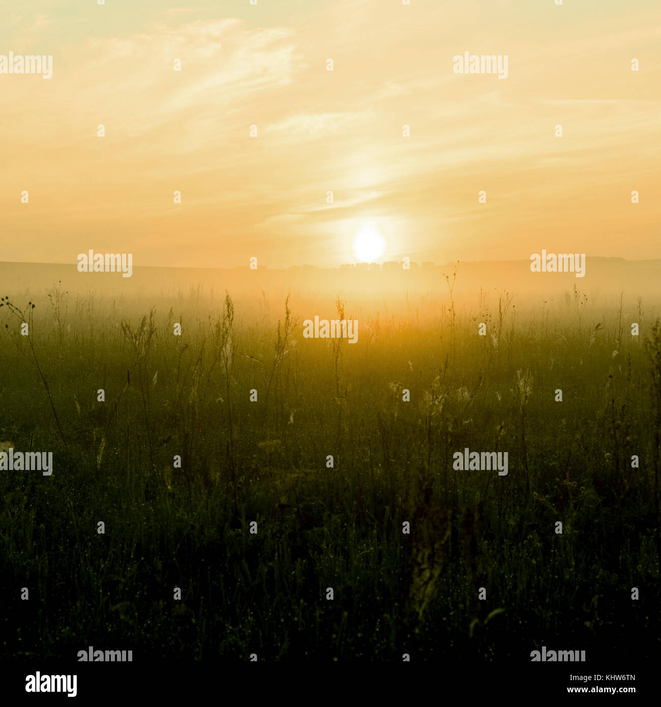 Ground mist hi-res stock photography and images - Alamy