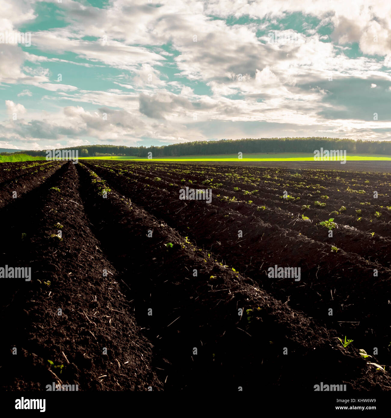 Ploughed field, Ural, Sverdlovsk, Russia Stock Photo - Alamy