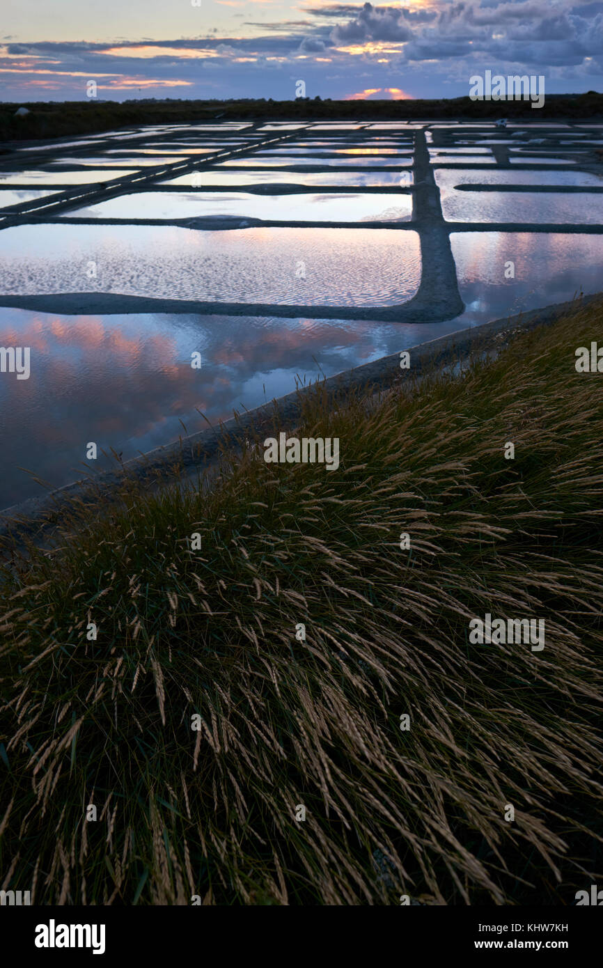 Sel de guerande salt hi-res stock photography and images - Alamy