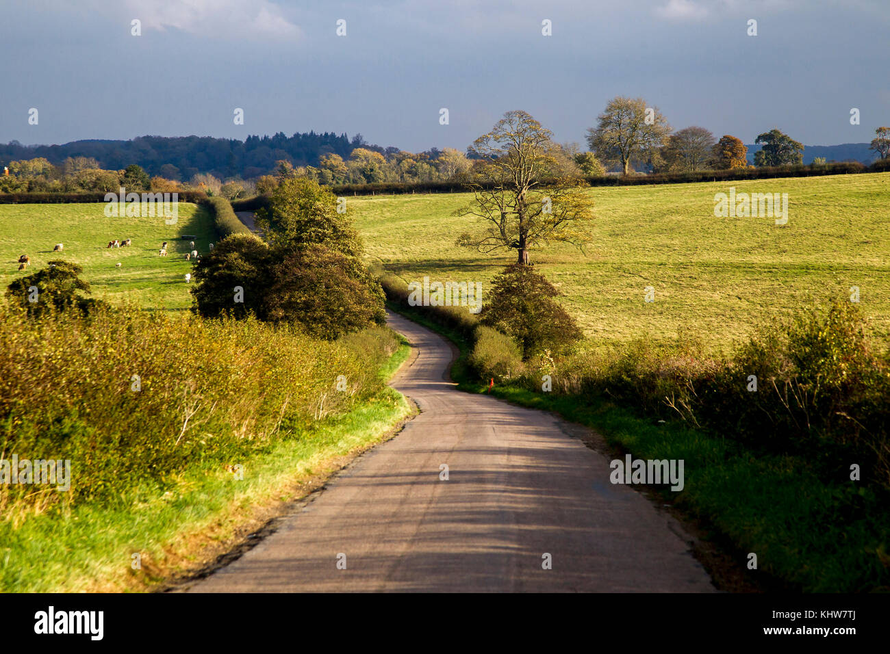 Daventry road hi-res stock photography and images - Alamy