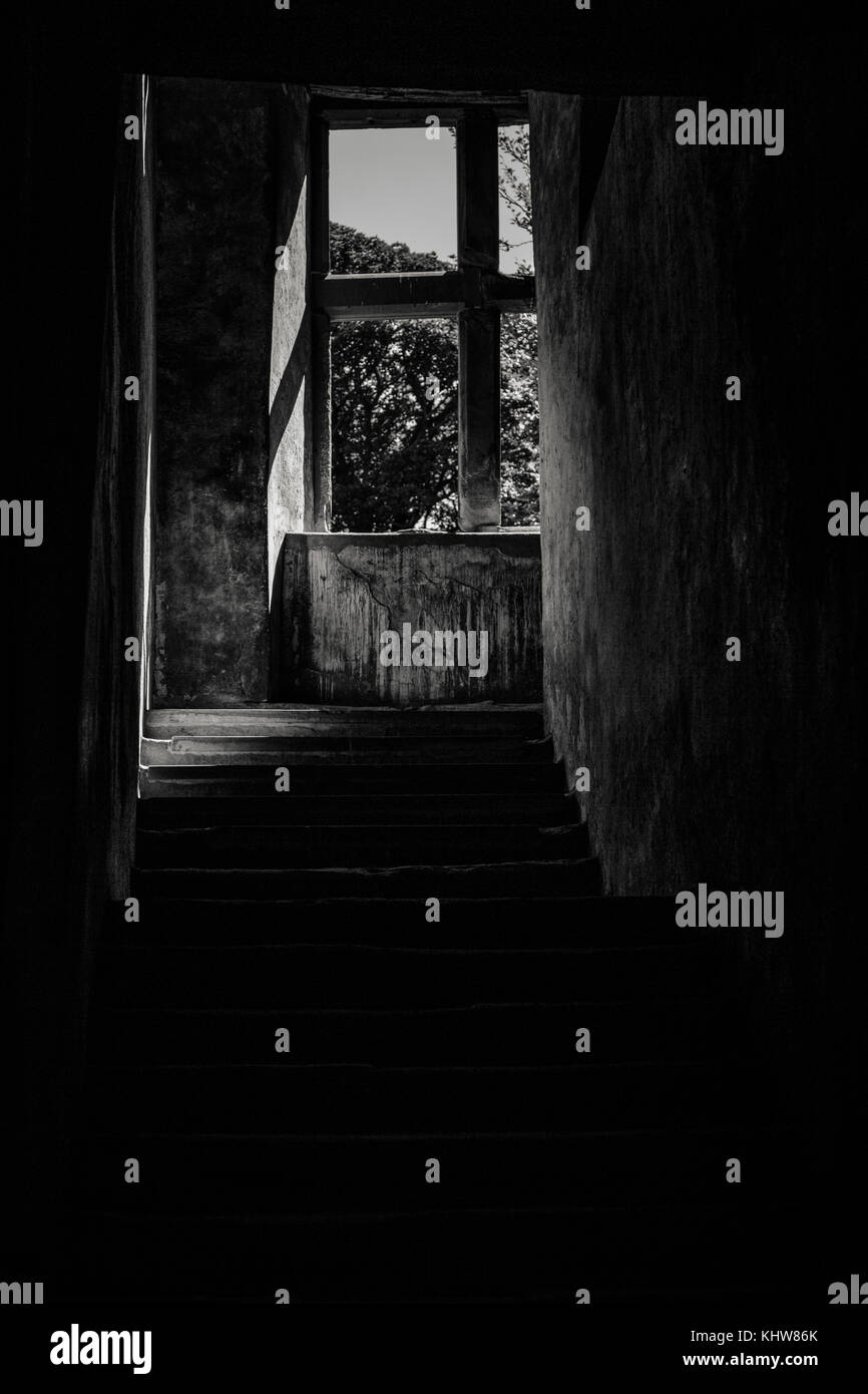 Shadow stairs monochrome Stock Photo - Alamy