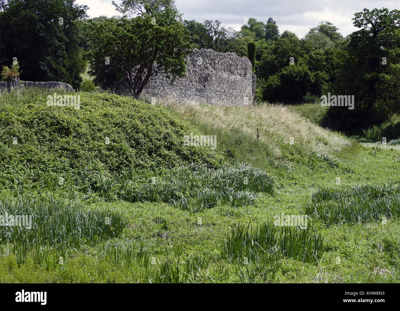 Photograph taken of Berkhamsted Castle. Berkhamsted Castle, an 11th ...