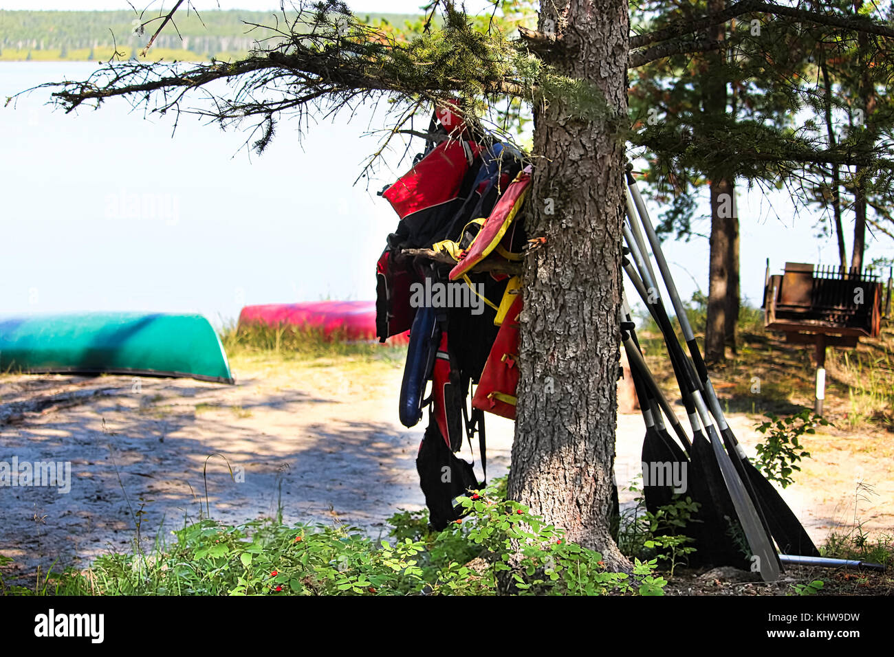 Life jackets hanging in a tree drying at a campsite Stock Photo - Alamy