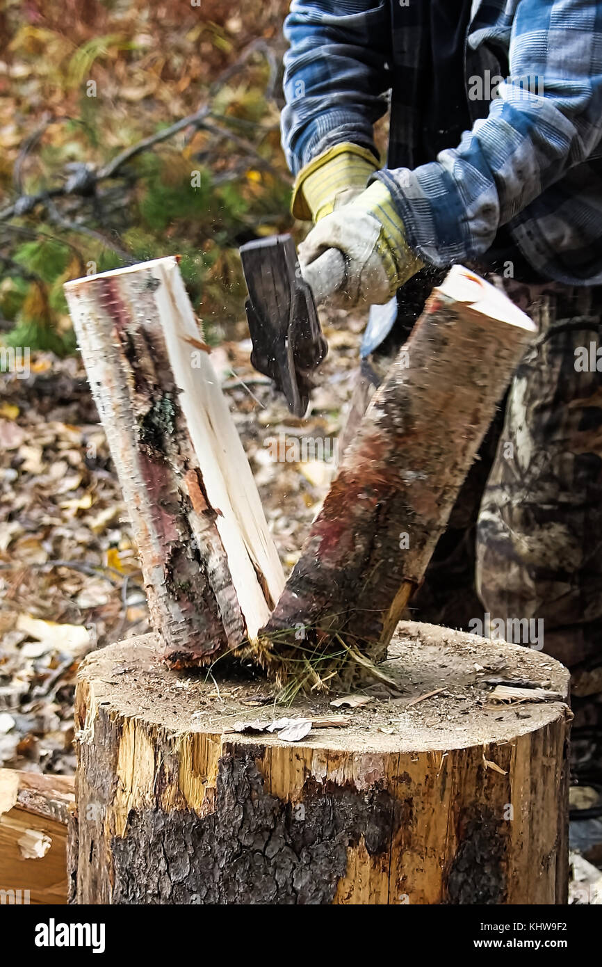 Closeup of birch wood being chopped and splitting Stock Photo - Alamy