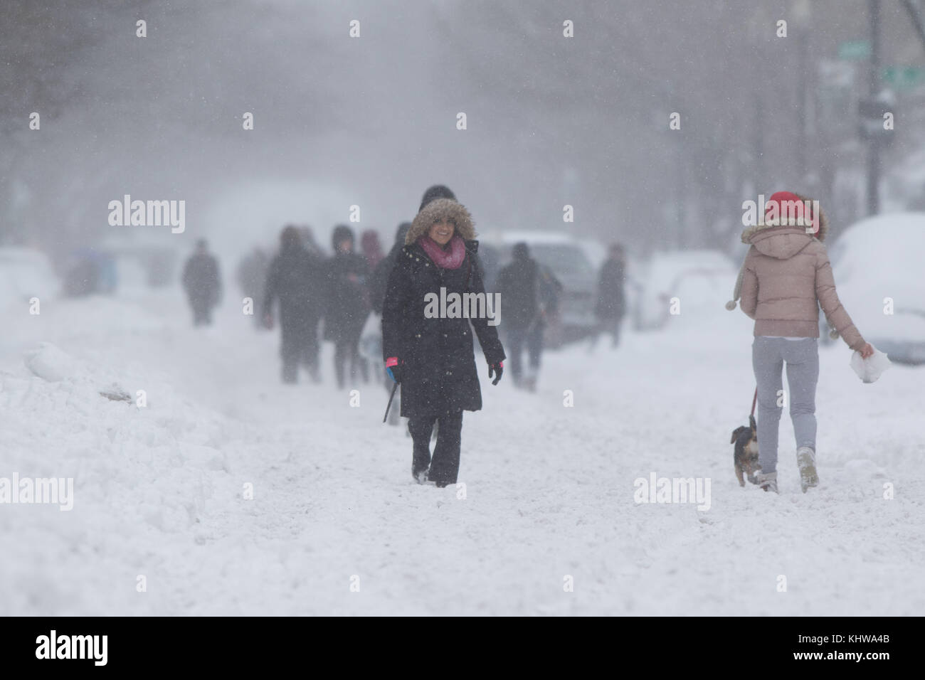 Blizzard2016 hi-res stock photography and images - Alamy