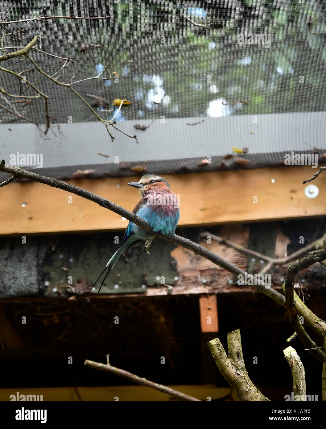 Bird Garden at Beautiful Country House near Leeds West Yorkshire that ...