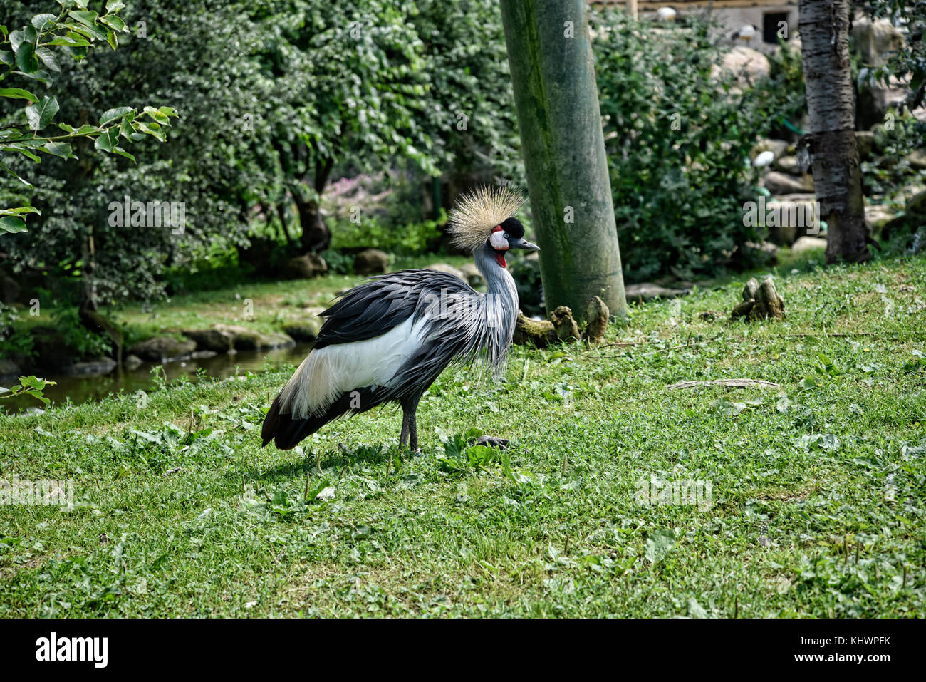 Bird Garden at Beautiful Country House near Leeds West Yorkshire that ...