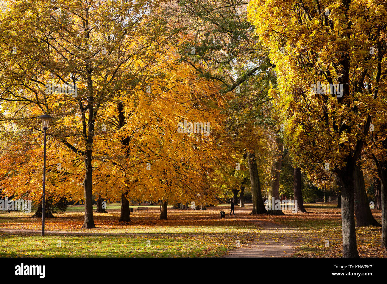Germany, Cologne, autumn in the Stadtgarten (town garden). Deutschland ...