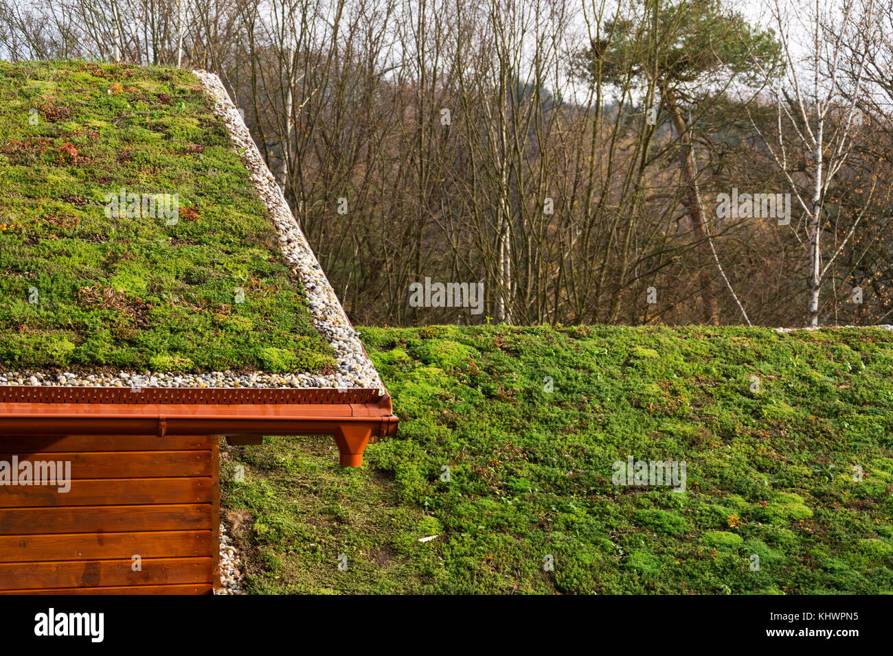 Green living roof on wooden building covered with vegetation Stock ...