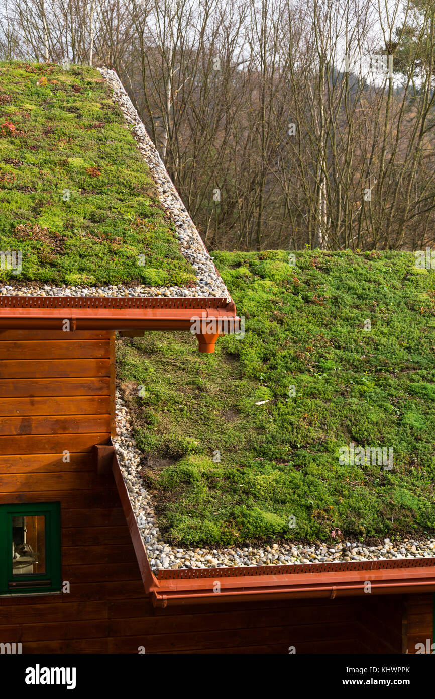 Green living roof on wooden building covered with vegetation Stock ...