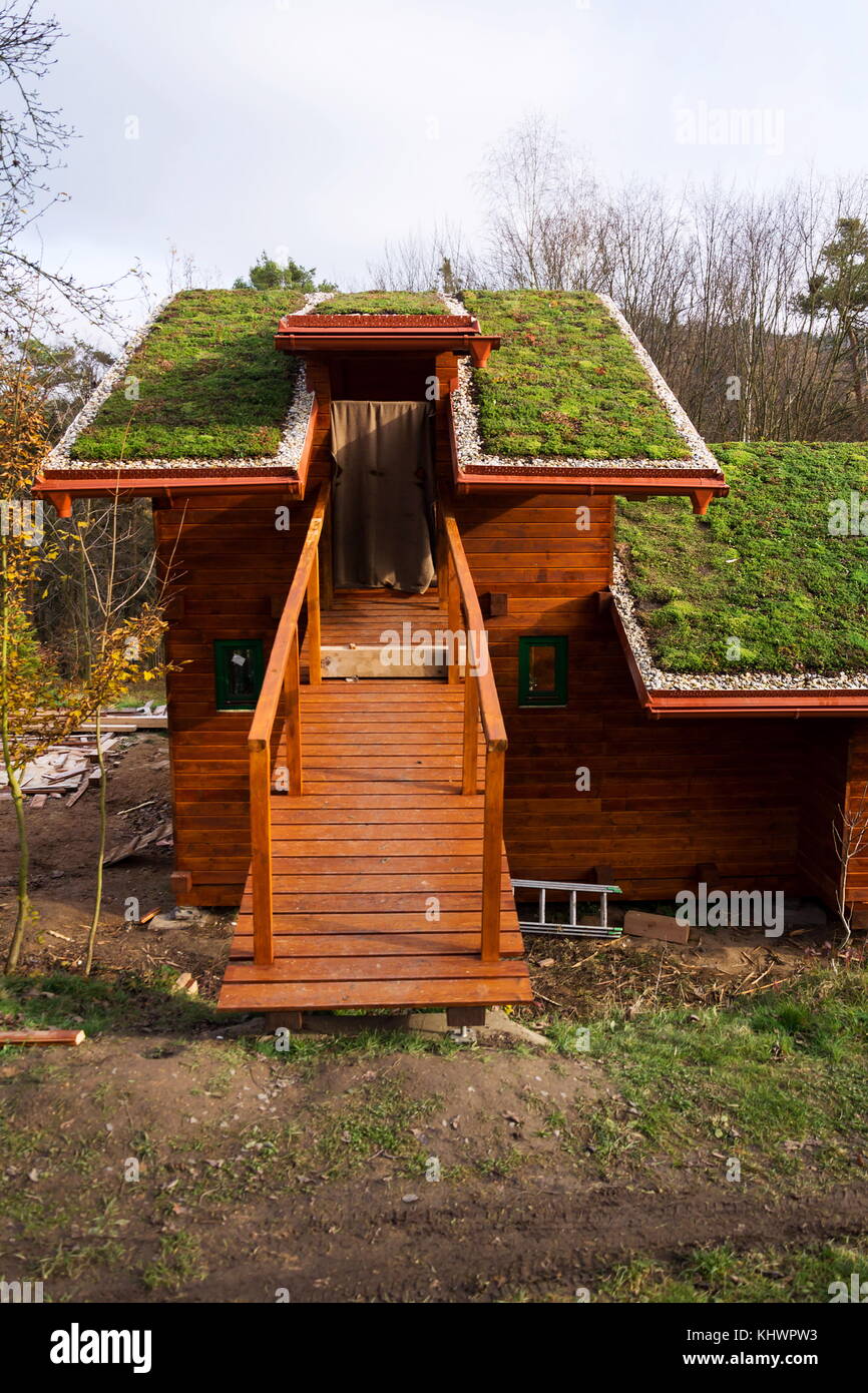 Green living roof on wooden building covered with vegetation Stock ...