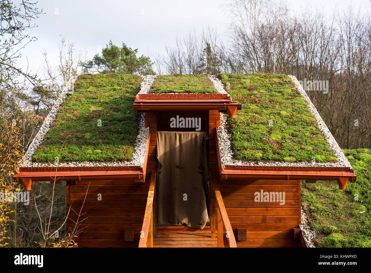 Green living roof on wooden building covered with vegetation Stock ...
