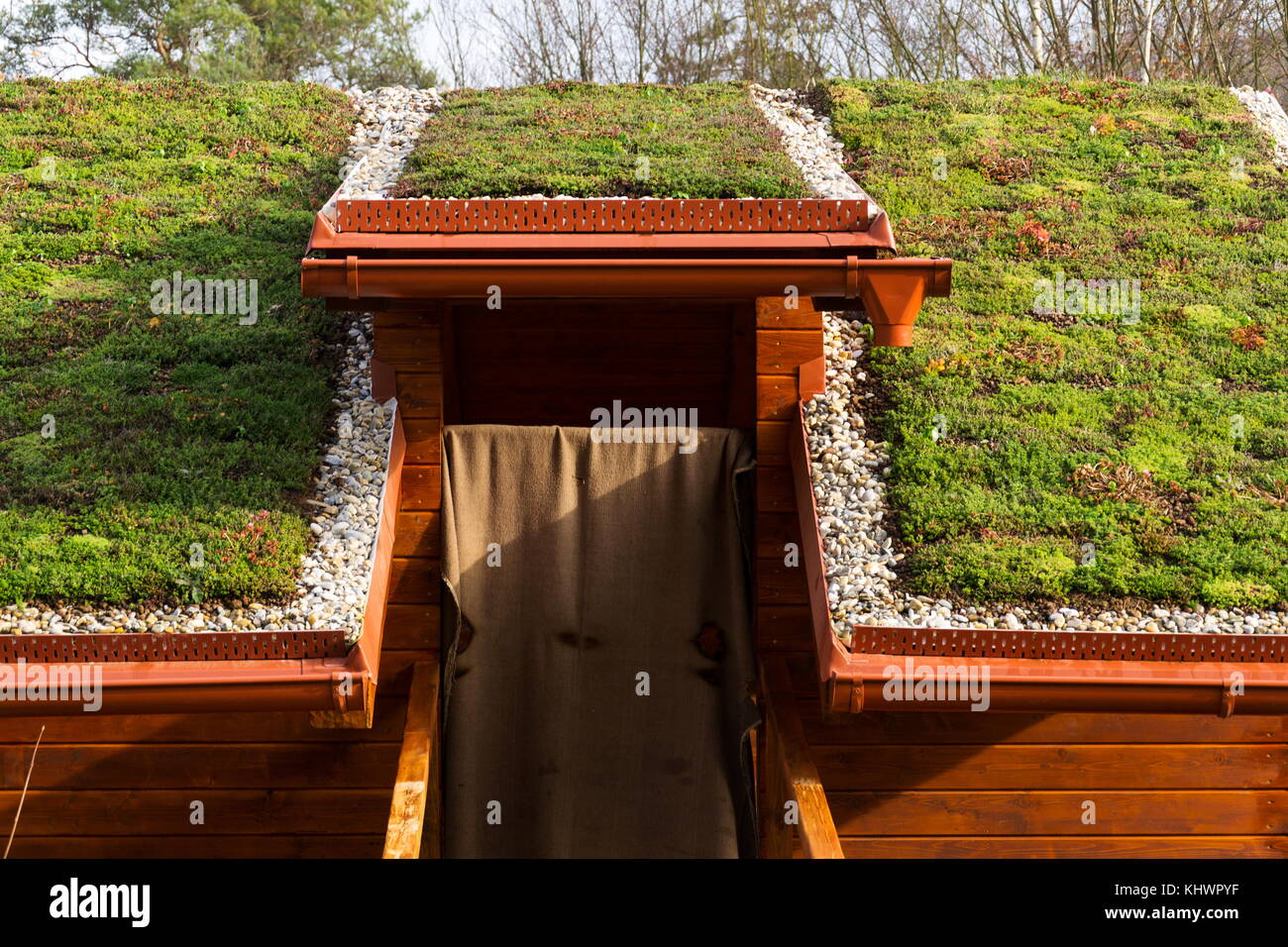 Green living roof on wooden building covered with vegetation Stock ...
