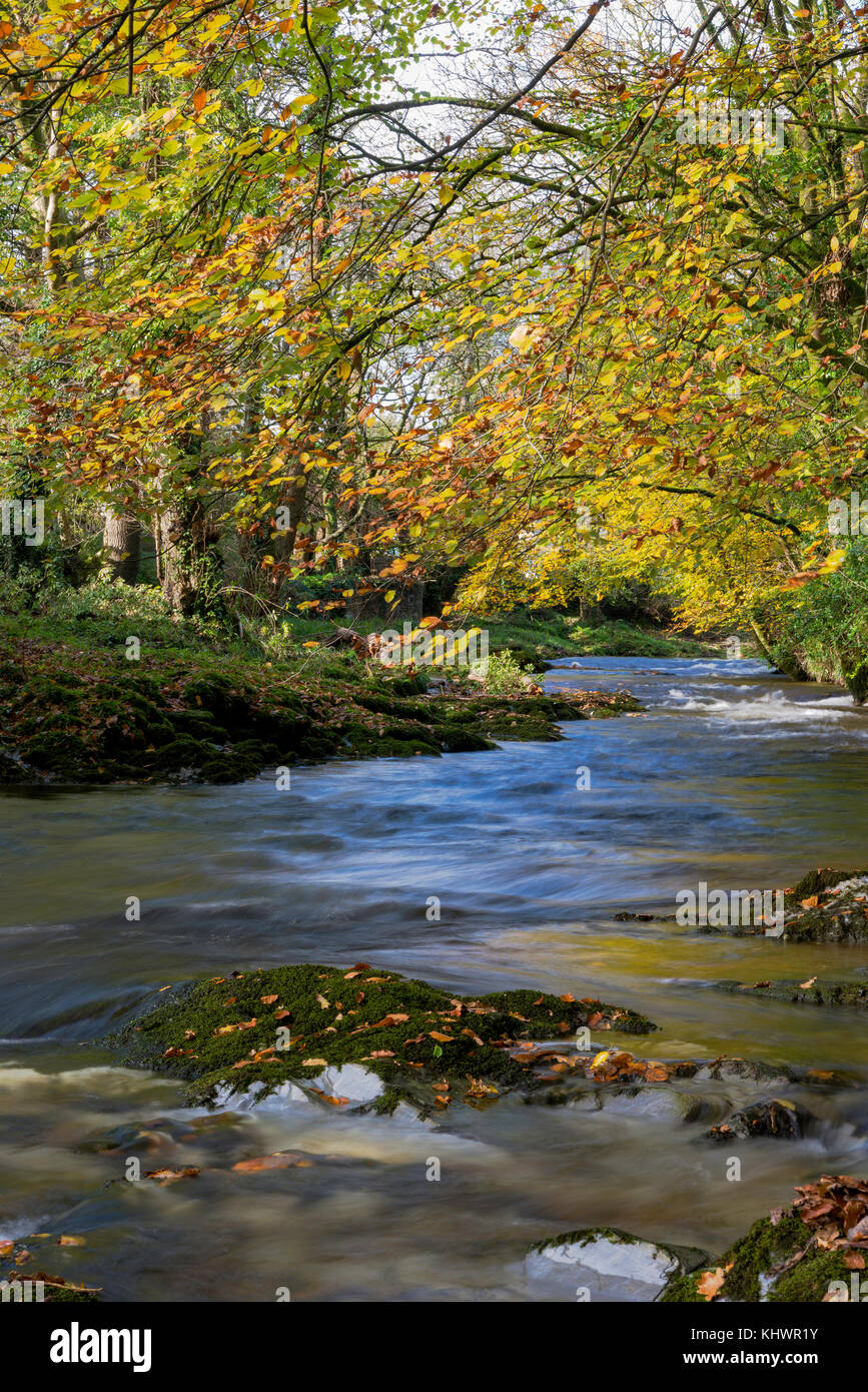 Avonwick hi-res stock photography and images - Alamy