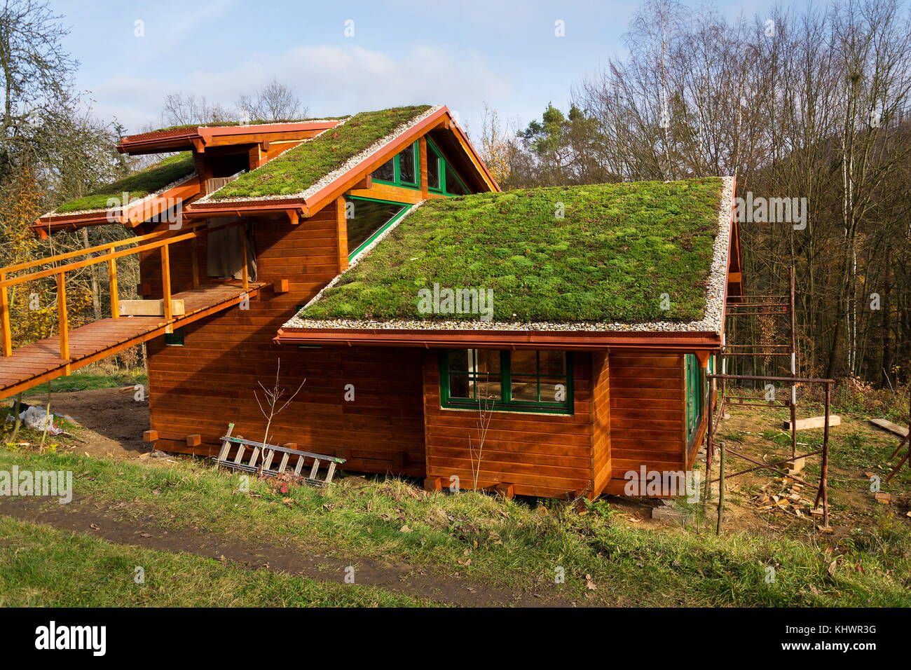 Green living roof on wooden building covered with vegetation Stock ...
