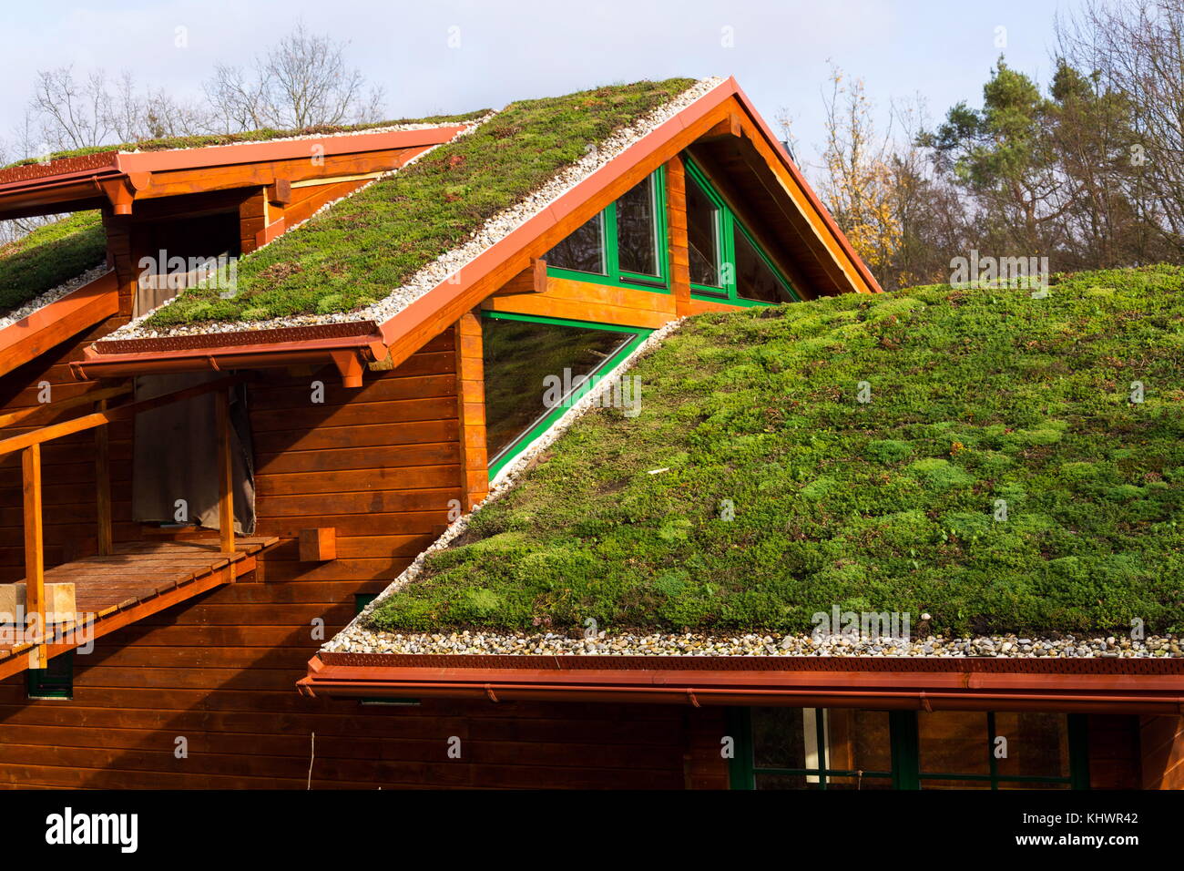 Green living roof on wooden building covered with vegetation Stock ...