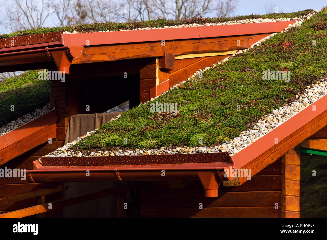 Green living roof on wooden building covered with vegetation Stock ...