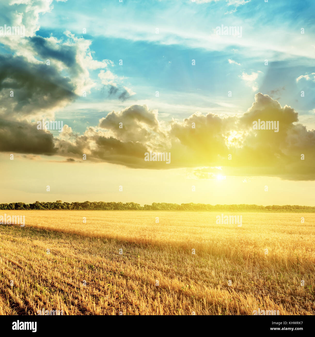 harvesting field and sunset in clouds over it Stock Photo - Alamy