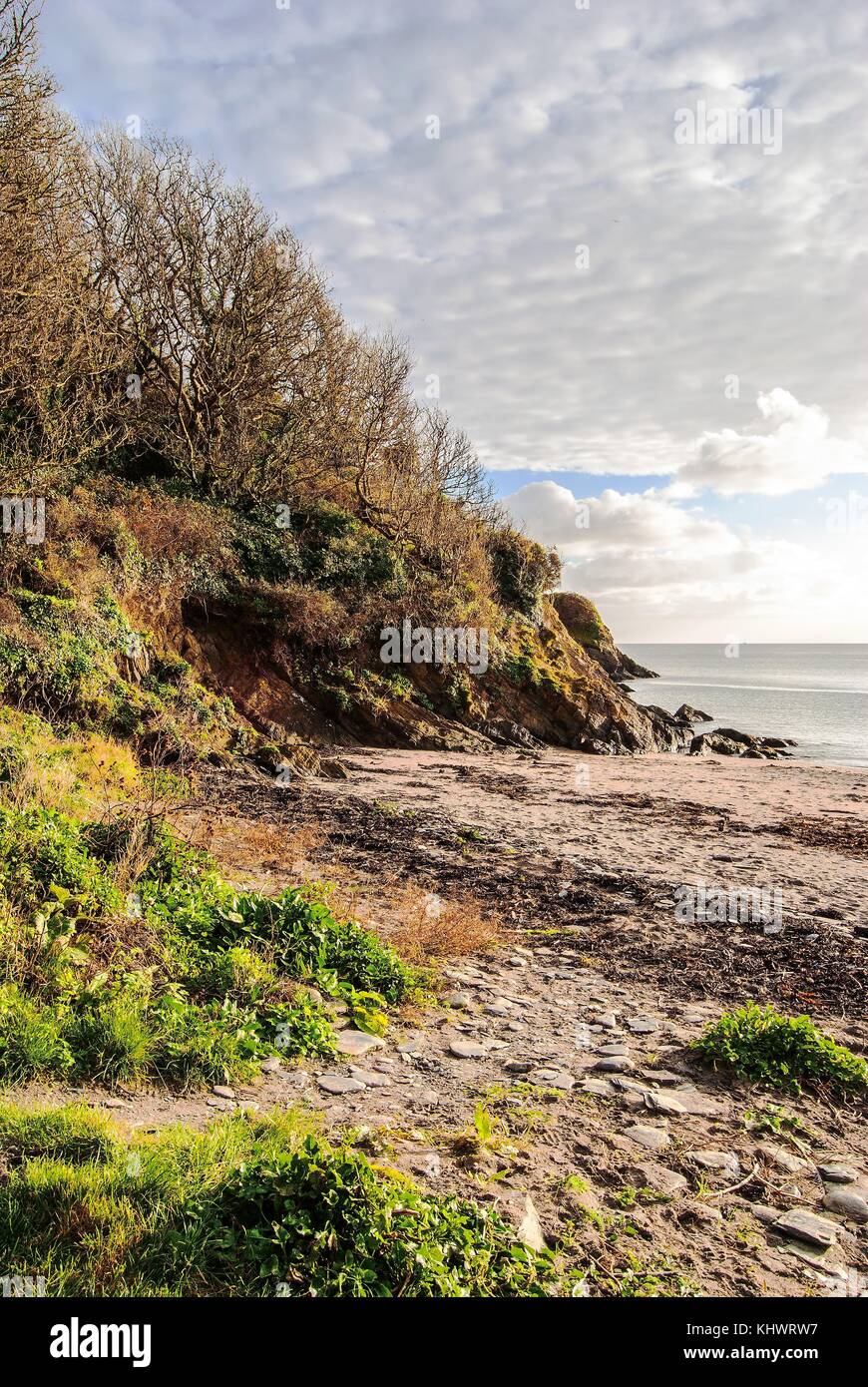 To the west of Fowey you come to Menabilly, this beautiful headland has ...