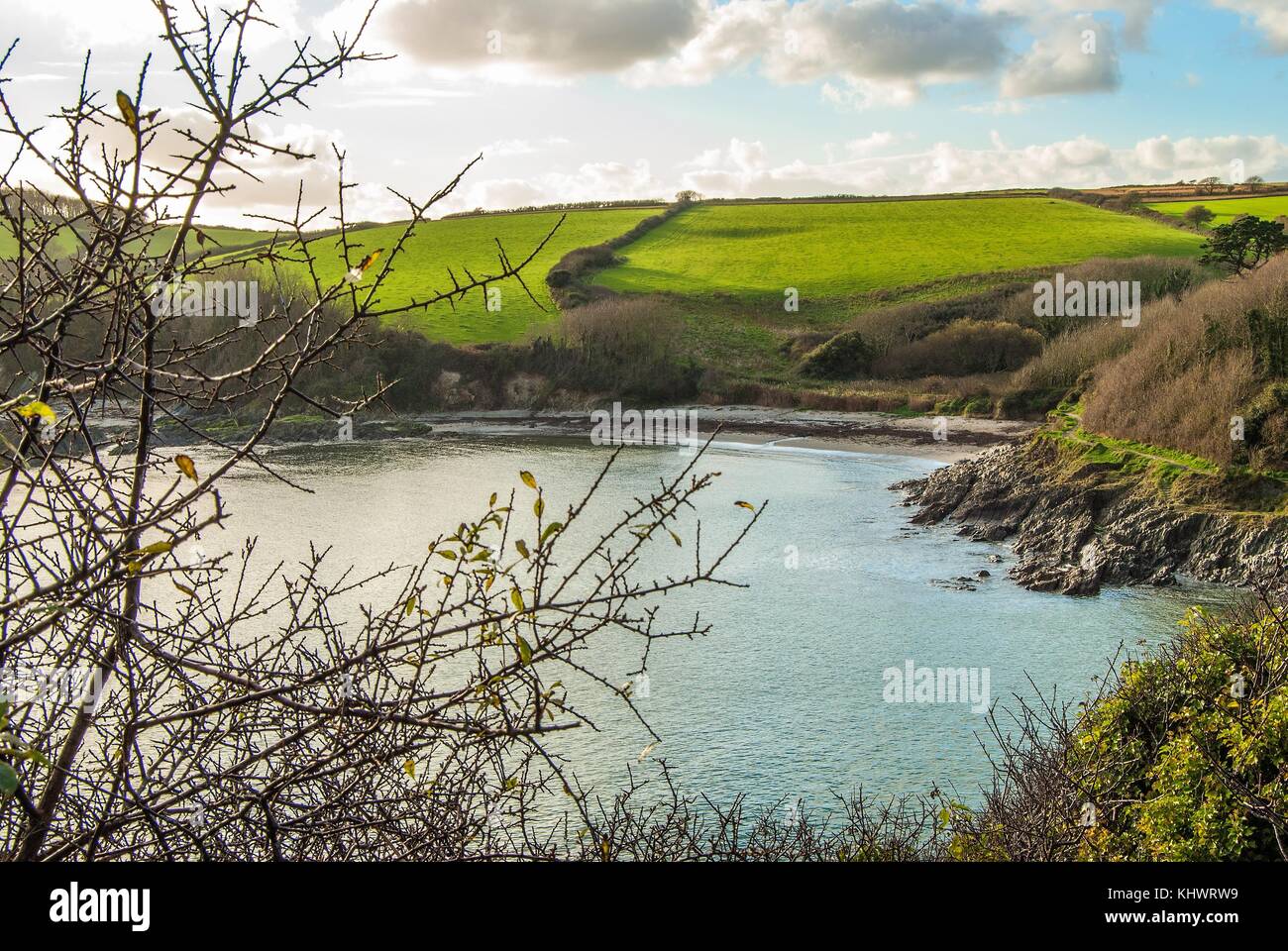 To the west of Fowey you come to Menabilly, this beautiful headland has ...