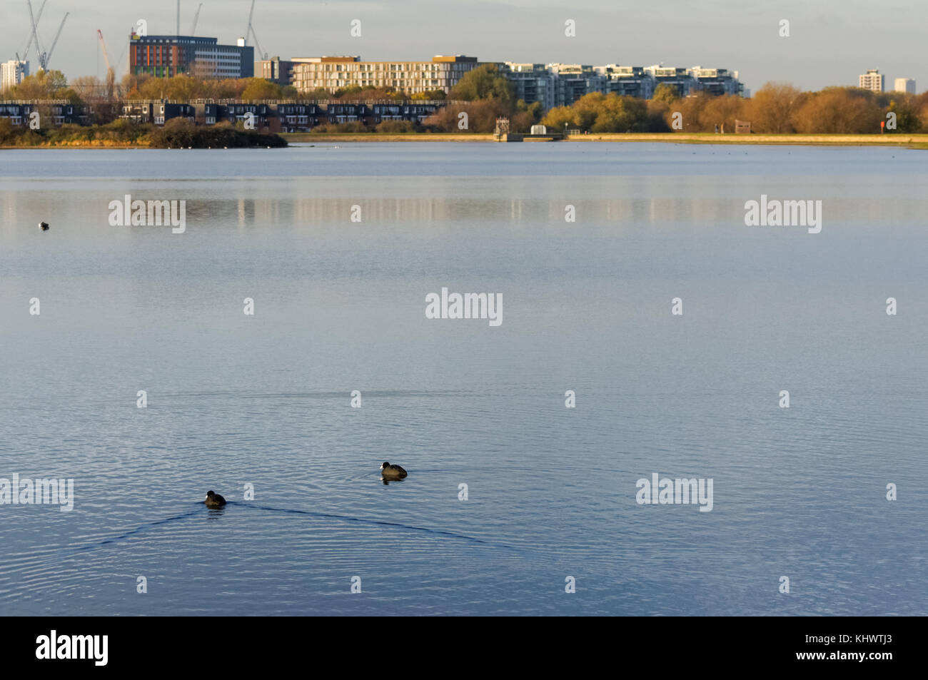 View across East Warwick Reservoir at Walthamstow Wetlands, London ...