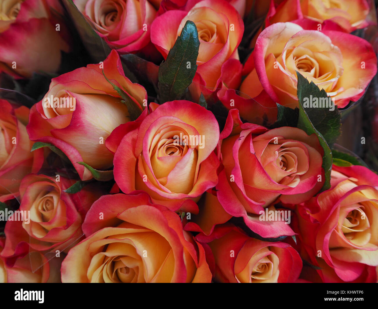 French farmers market hi-res stock photography and images - Alamy