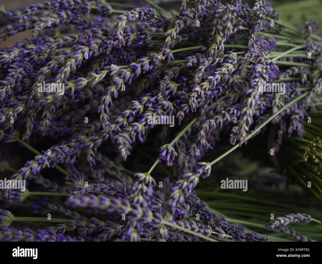 Northfork hi-res stock photography and images - Alamy