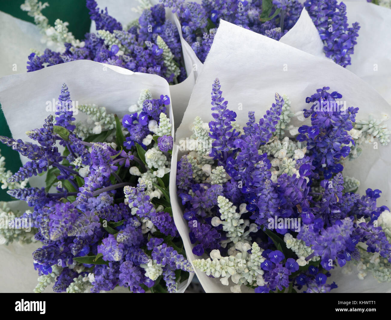 Union square flower market hi-res stock photography and images - Alamy