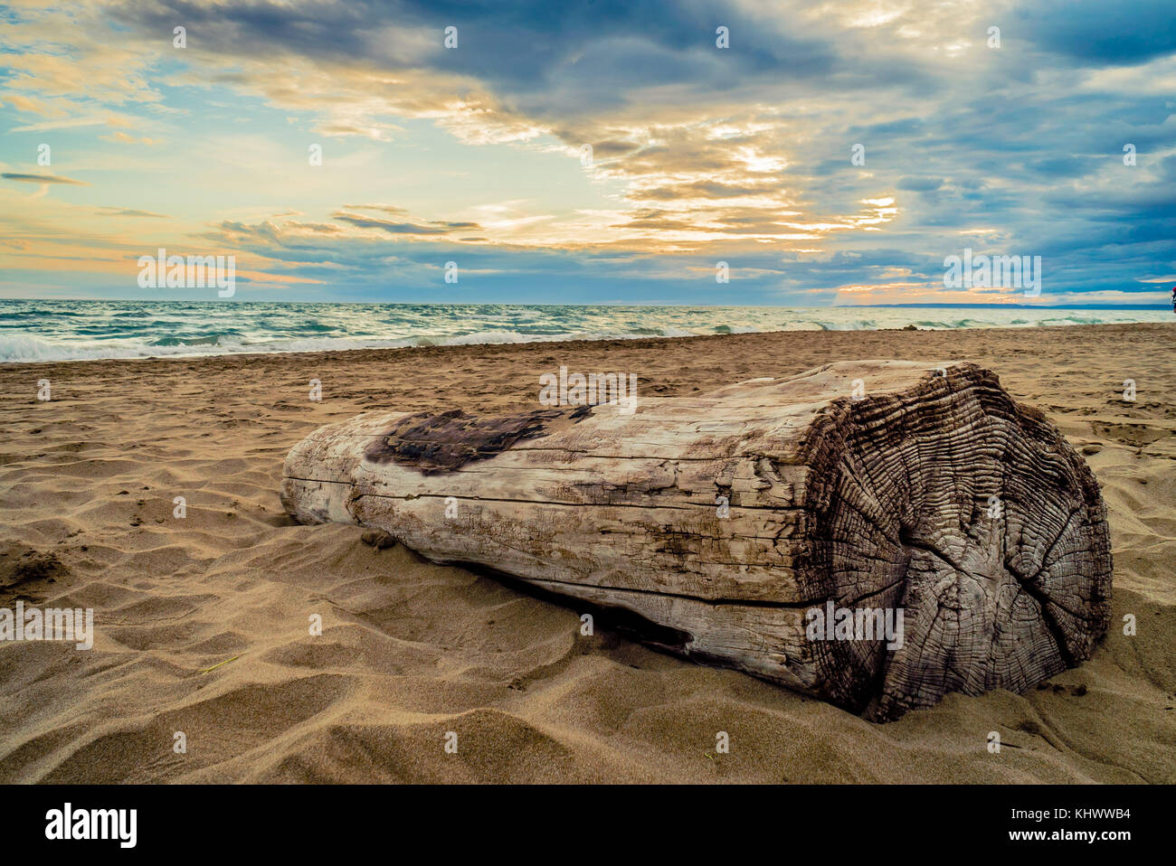 Wood log on a beach in France Stock Photo - Alamy