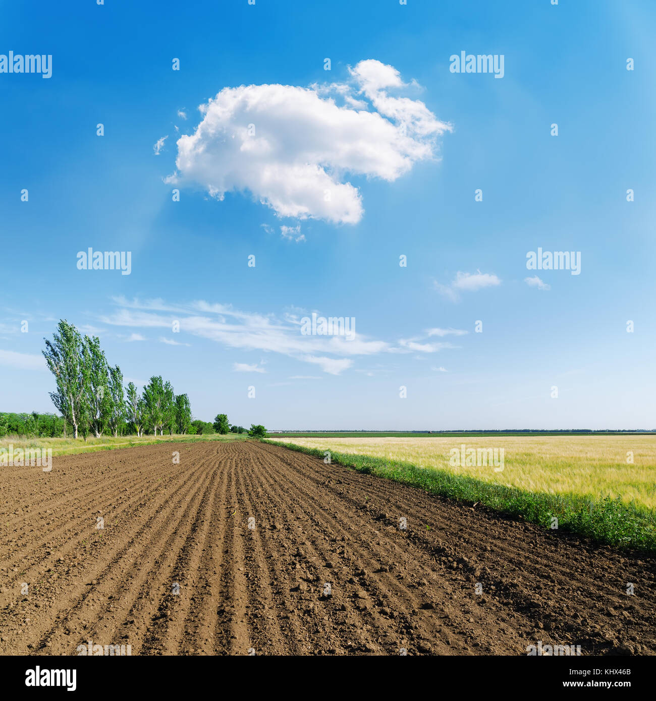 plowed field in spring and white cloud in blue sky Stock Photo - Alamy