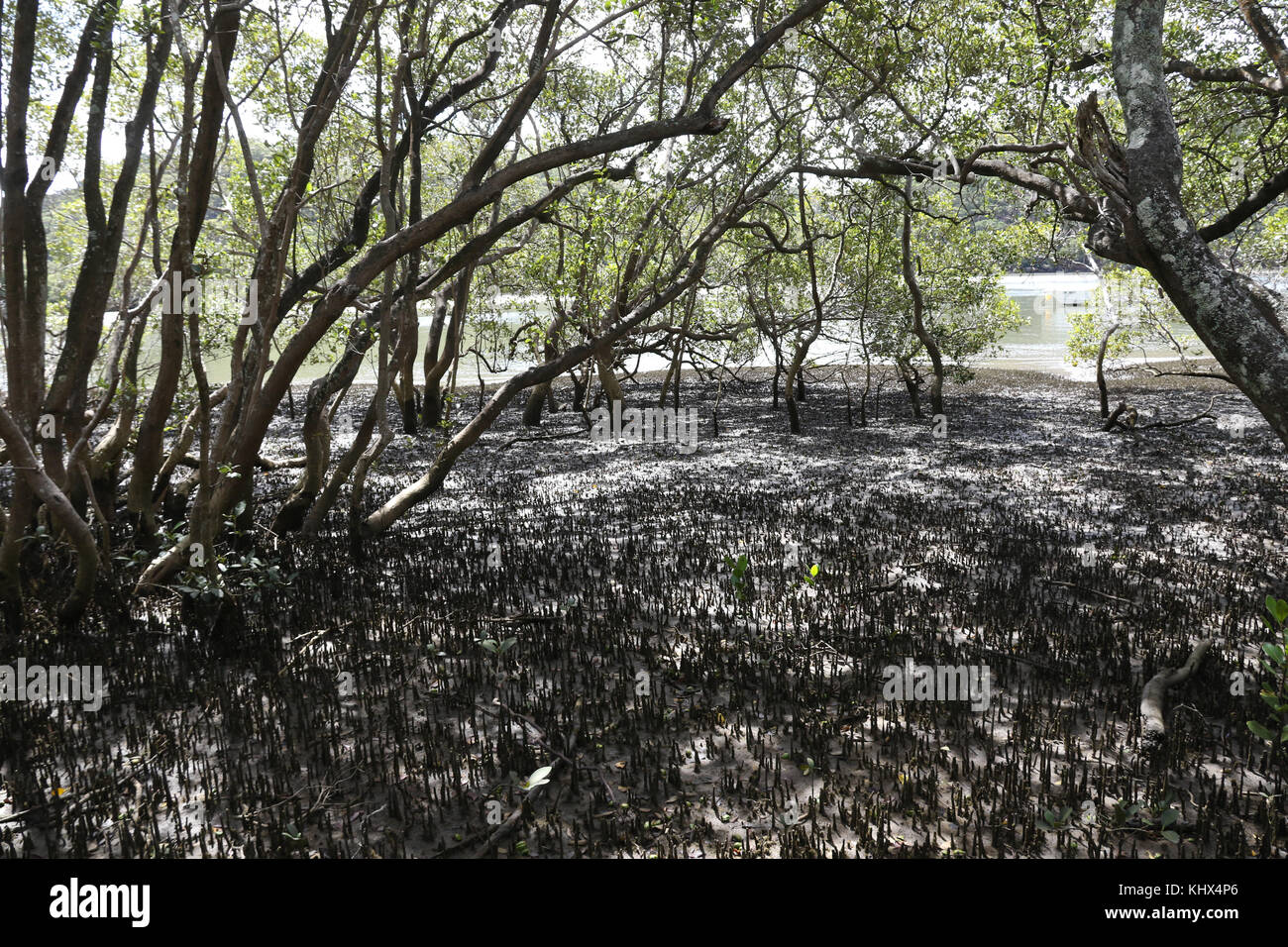 Paruna reserve hi-res stock photography and images - Alamy