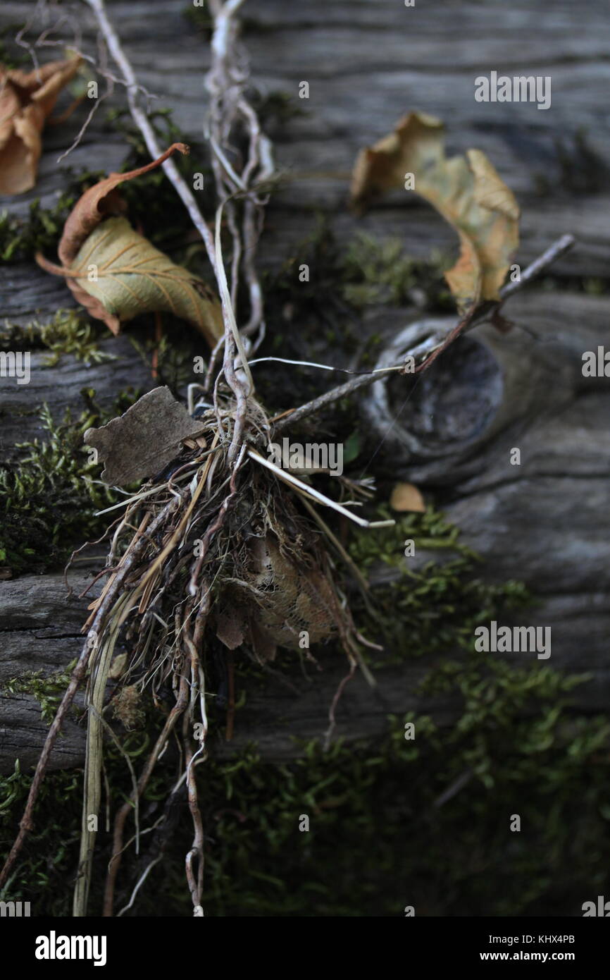 Mattole river hi-res stock photography and images - Alamy