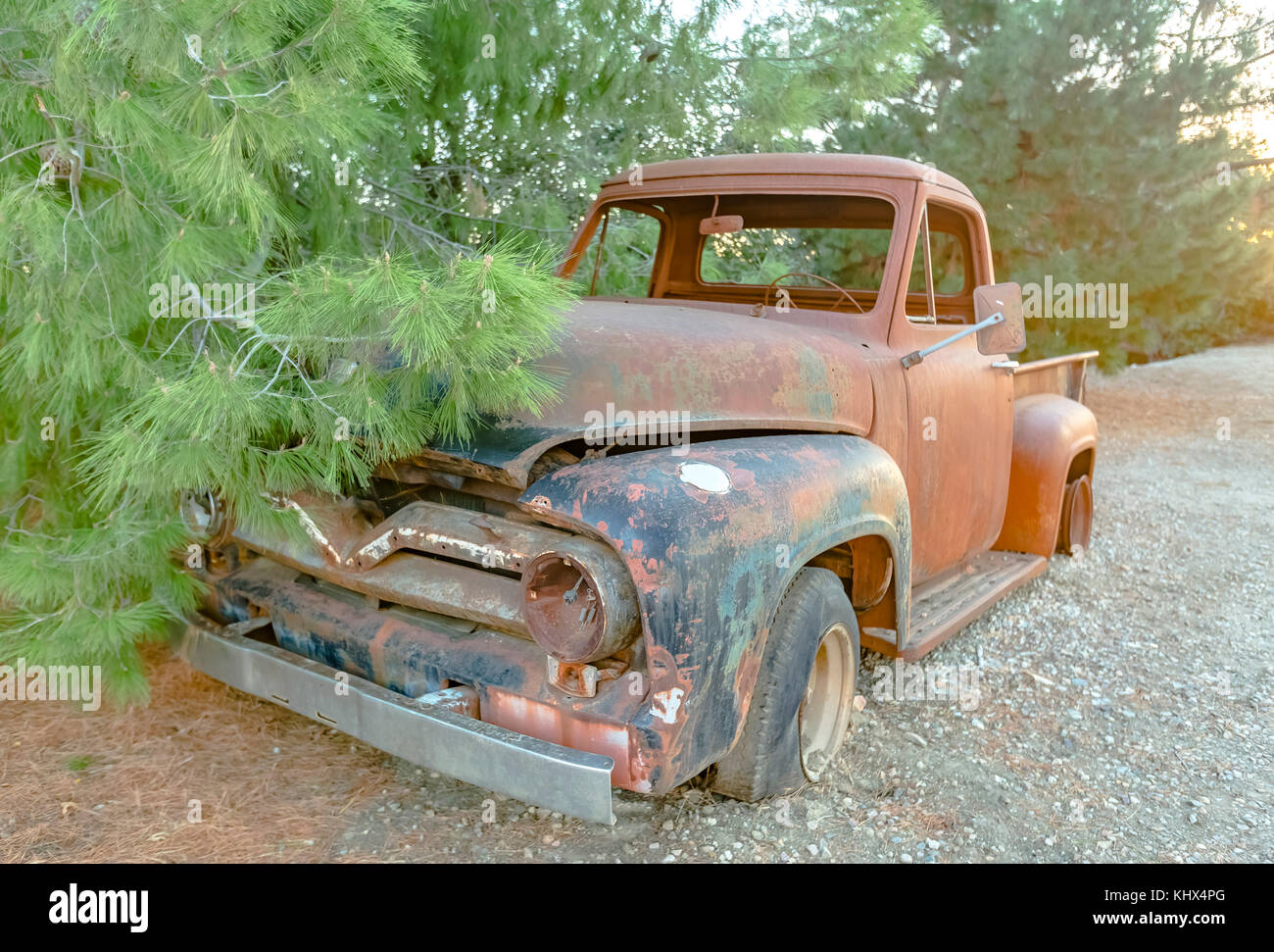 Forest Relic Old Car rusting away in the Forest front view. Broken down ...