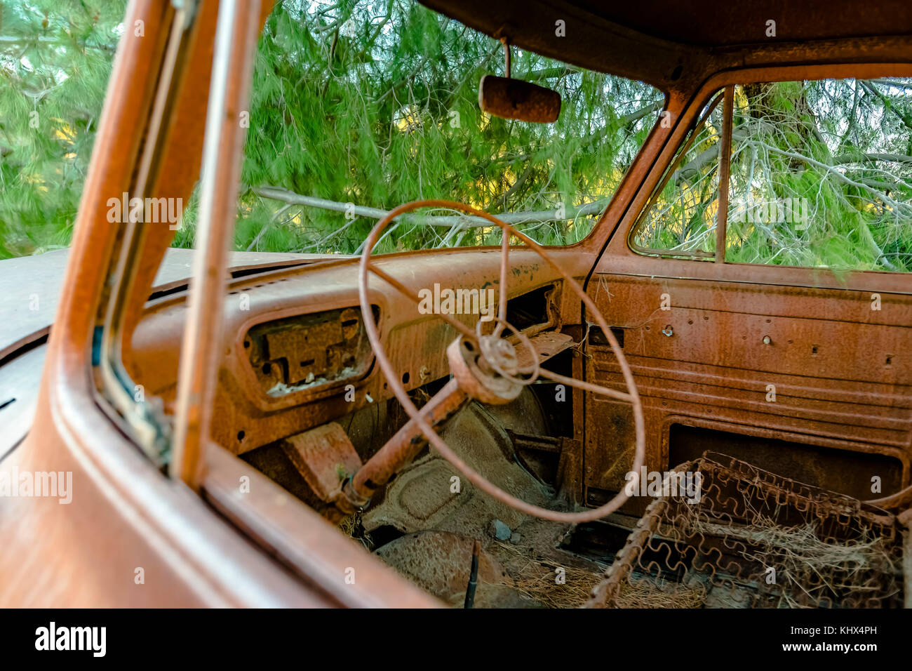 Forest Relic Old Car rusting away in the Forest looking inside. Broken ...